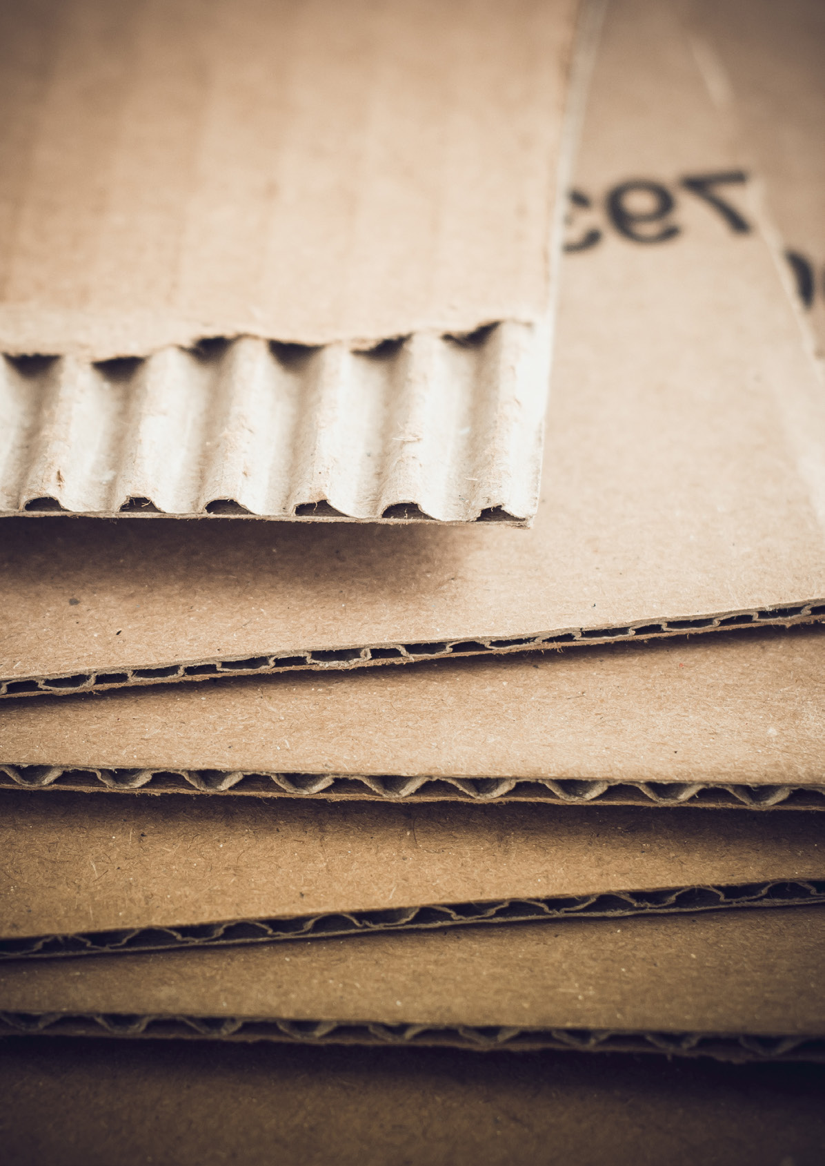 Cartone ondulato: comparto green fondamentale per l’industria